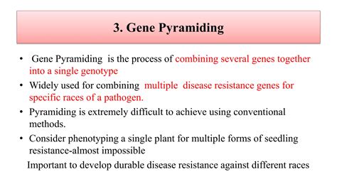 Marker Assisted Selection Mas And Its Application In Plant Breeding Pptx