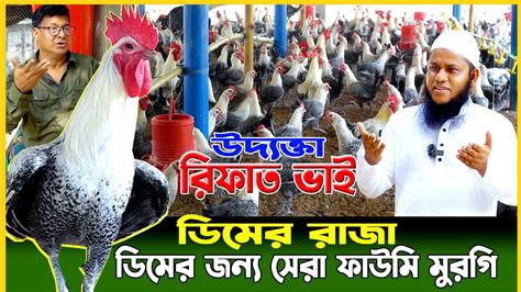 লাভজনক ডিমের রাজা ফাউমি মুরগি পালন। খামার করে সফল। Faumi Murgi Khamar Youtube