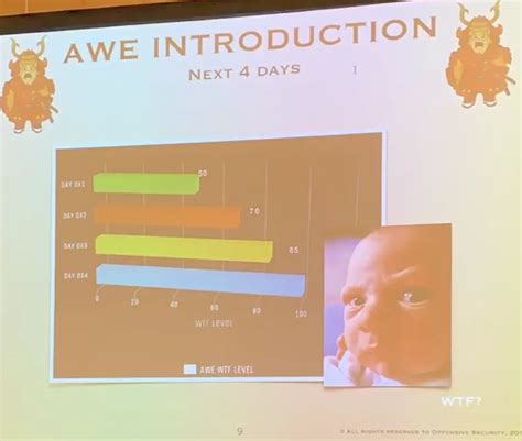 My Offensive Security Journey — Part 1 Red Opcode