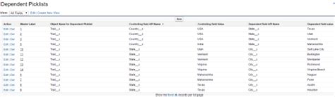 Dependent Picklist In Salesforce Flow Using Custom Metadata Type Video Home