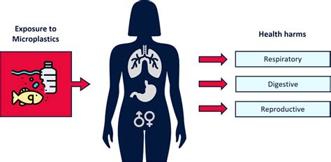 How To Avoid Microplastics 15 Practical Ways To Reduce Exposure