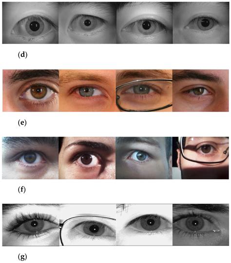 Pfsegiris Precise And Fast Segmentation Algorithm For Multi Source Heterogeneous Iris