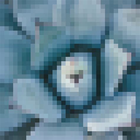 learning continuous image representation with local implicit image function