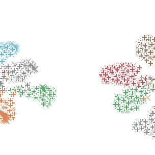 T SNE Visualizations For DANN And CDA To Extract The Contribution Of Download Scientific