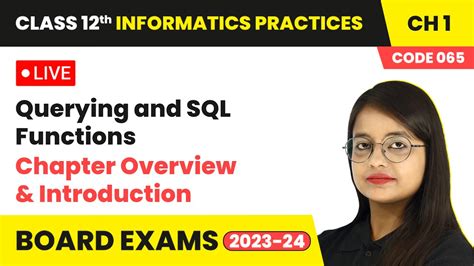 querying and sql functions chapter overview and introduction class 12