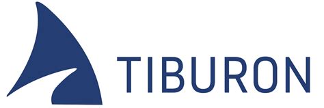 The 3 Main Approaches To Application Development Tiburon Data