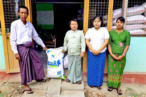 ပွင့်ဖြူမြို့နယ်အတွင်း ဧရာဝတီမြစ်ရေမြင့်တက်မှုကြောင့် ရေဝင်ရောက်ခဲ့သော