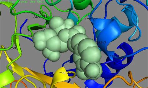 Molecular Interaction Of Acarbose With Alpha Amylase Download