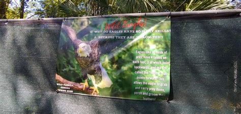 Soaring Eagle Data Solutions Inc On Linkedin Dba Happyfriday Jokes Sysadmins