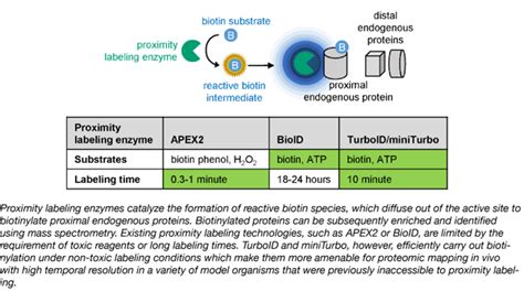 Hot Plasmids December 2018 C Elegans Rnai Turboid Detecting Viral
