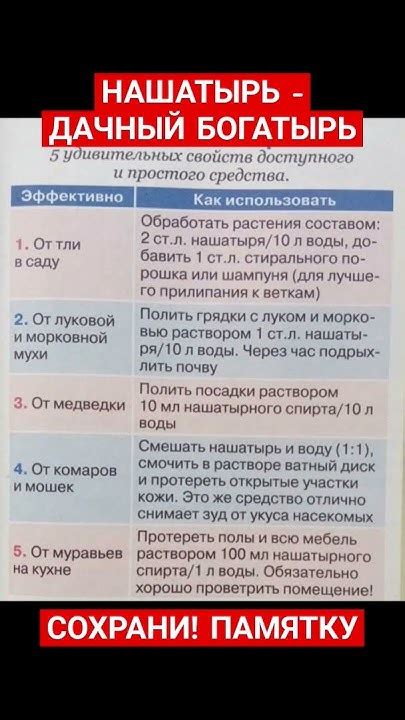 Дачные советы огородникам советы полезныесоветы дача огород Youtube