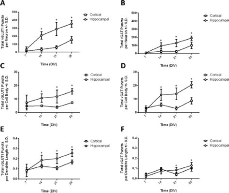 Excitatory And Inhibitory Synapse Development In Hippocampal And Download Scientific Diagram