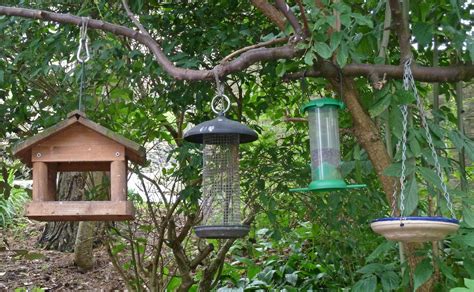 Use The Right Types Of Bird Feeders