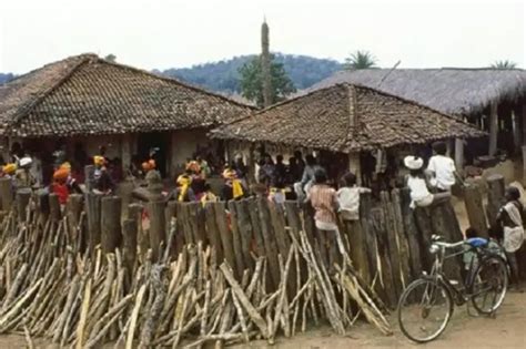 There Are No Sex Related Crimes In Muria Tribe Of Chhattisgarh Thanks To A Unique Tradition