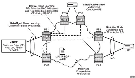 Ethernet Virtual Private Networks