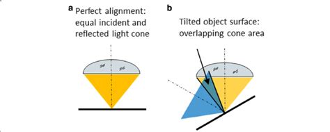Incident And Reflected Light Cone Illuminating A Point Located On The Download Scientific