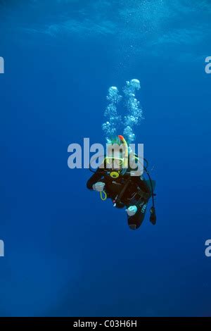 Einzelne Taucher Marsa Alam Reef Rotes Meer Ägypten Stockfotografie Alamy
