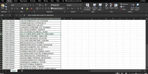 Do Inputting Data In Excel By Lieghann20 Fiverr