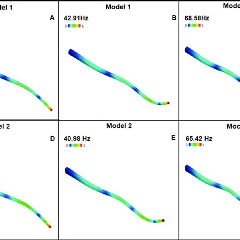Vibration Mode For Macaw Palm Rachis In The Immature Maturation Stage Download Scientific