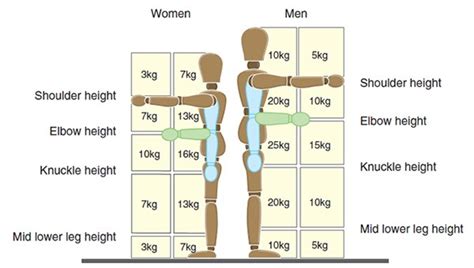 Ergonomics Today Lifting Guidelines
