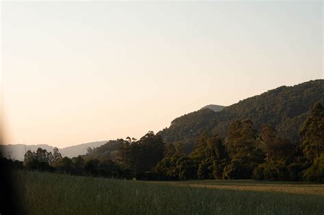 Hills Hillside Moutains - Free photo on Pixabay - Pixabay