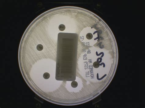 Halo Measurement Scirobotics