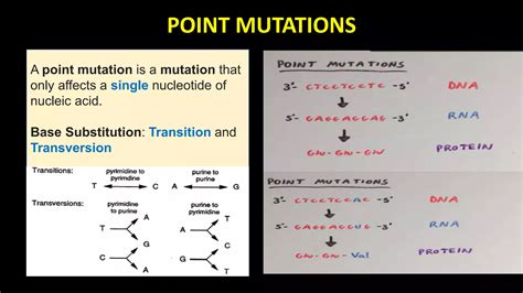 Mutations Types And Causes Pptx