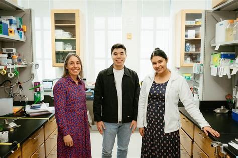 Harnessing Synthetic Biology To Build Smarter Stronger Living Materials Technology