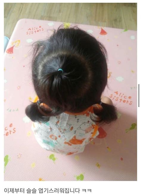 딸아이 머리 묶어주는 아빠  인스티즈 Instiz 이슈 카테고리