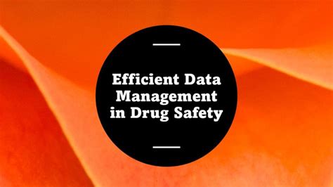 Check Out Our Blog Post About How To Conduct Efficient Data Management
