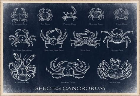 Crab Chart Coastal Artwork Coastal Bleu Coastal Artwork Nautical