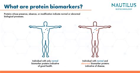 What Are Protein Biomarkers ~ Nautilus Biotechnology