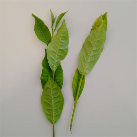 Te Exp 2 Object Detection Dataset By Nuevote