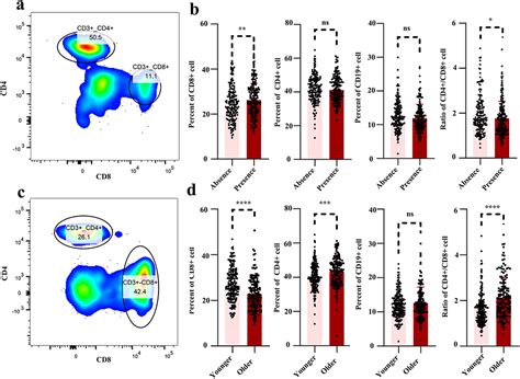 The Sex And Age Associated Infiltration Of B Cells IJGM