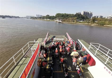 番禺新造渡口“五一”假期预计日均客流达4000人次