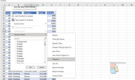 How To Custom Filter Data For Excel Worksheet In Vba For Ms Excel