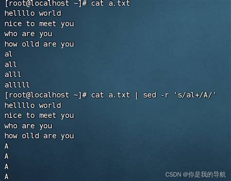 Linux正则表达式(详解)linux 正则 Csdn博客 Linux正则表达式(详解)linux 正则 Csdn博客