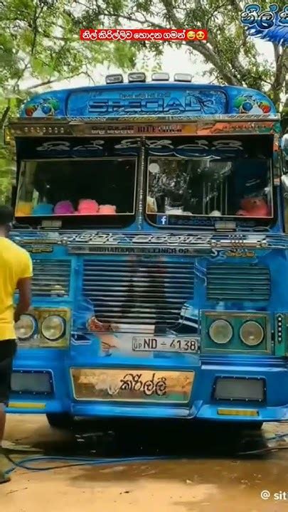 නිල් කිරිල්ලිව හොදන ගමන් 😅😍 Sutikkaunlimited Bus Trending Driver Truck Automobile Shorts