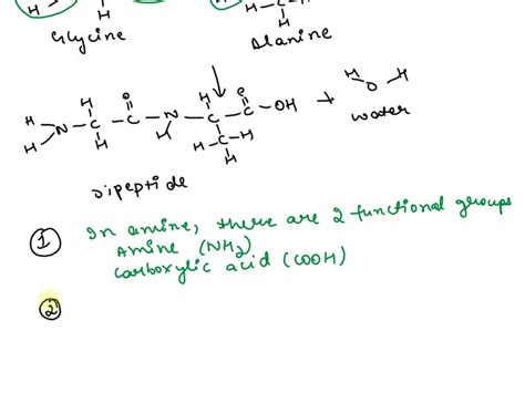 Solved Figure 2 Amino Acids Are Joined To Form A Dipeptide Hx I