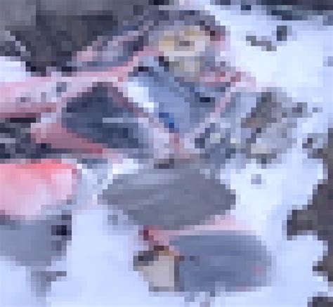 【閲覧注意】エベレスト山で行方不明になってた女性、ありえない姿で見つかる（動画あり） ポッカキットポッカキット