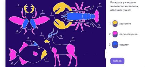 Ответы на вопросы Олимпиады по окружающему миру и экологии 2024 для 1 4 классов