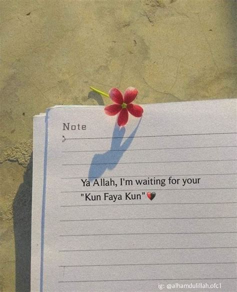 Hira Arshad Posted On Linkedin