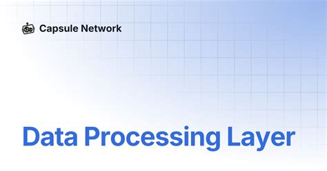 Data Processing Layer Capsule Network