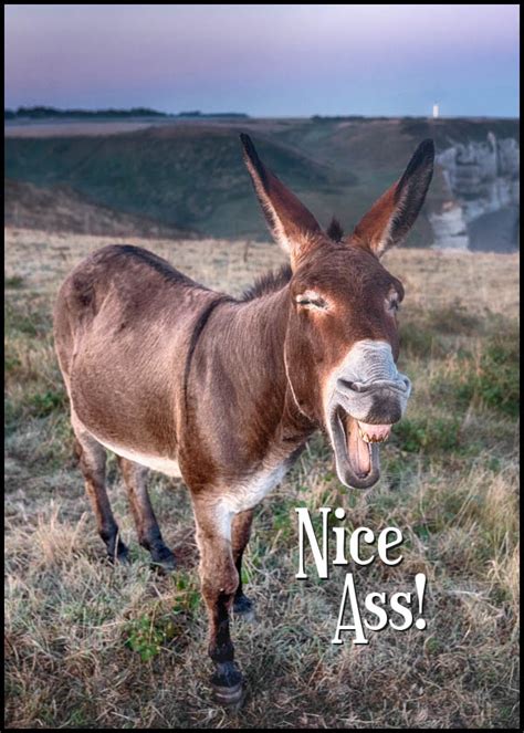 Nice Ass Poster Moderna Galleriet