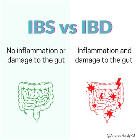 Whats The Difference Between Ibs And Ibd⁠⠀ Andrea Hardy Rd