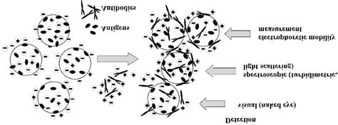 Principle Of Medical Aggregation Test Download Scientific Diagram