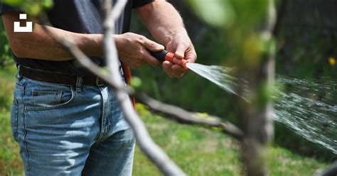 검은 티셔츠와 파란색 데님 청바지를 입고 흰 깃털을 들고 있는 남자 사진 Unsplash의 무료 정원 이미지