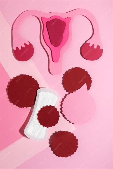 평평한 평신도 여성의 생식 기관 및 패드 무료 사진