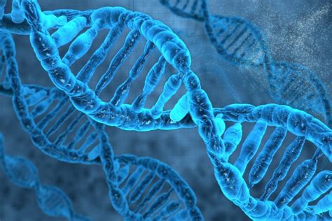Mutations In Non Coding Regions Could Drive Tumour Growth