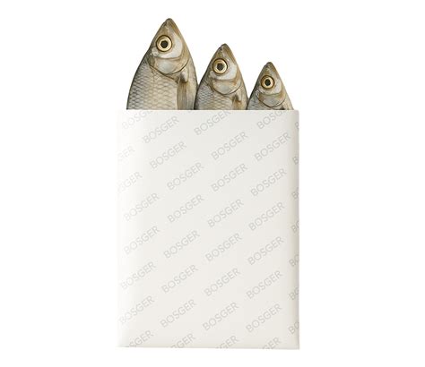 Fish Packaging Sp Bosger Packaging Solutions Manufacturer